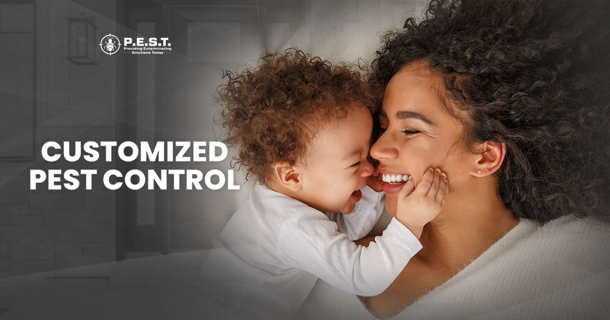 Orange County Pest Control | The PEST Group